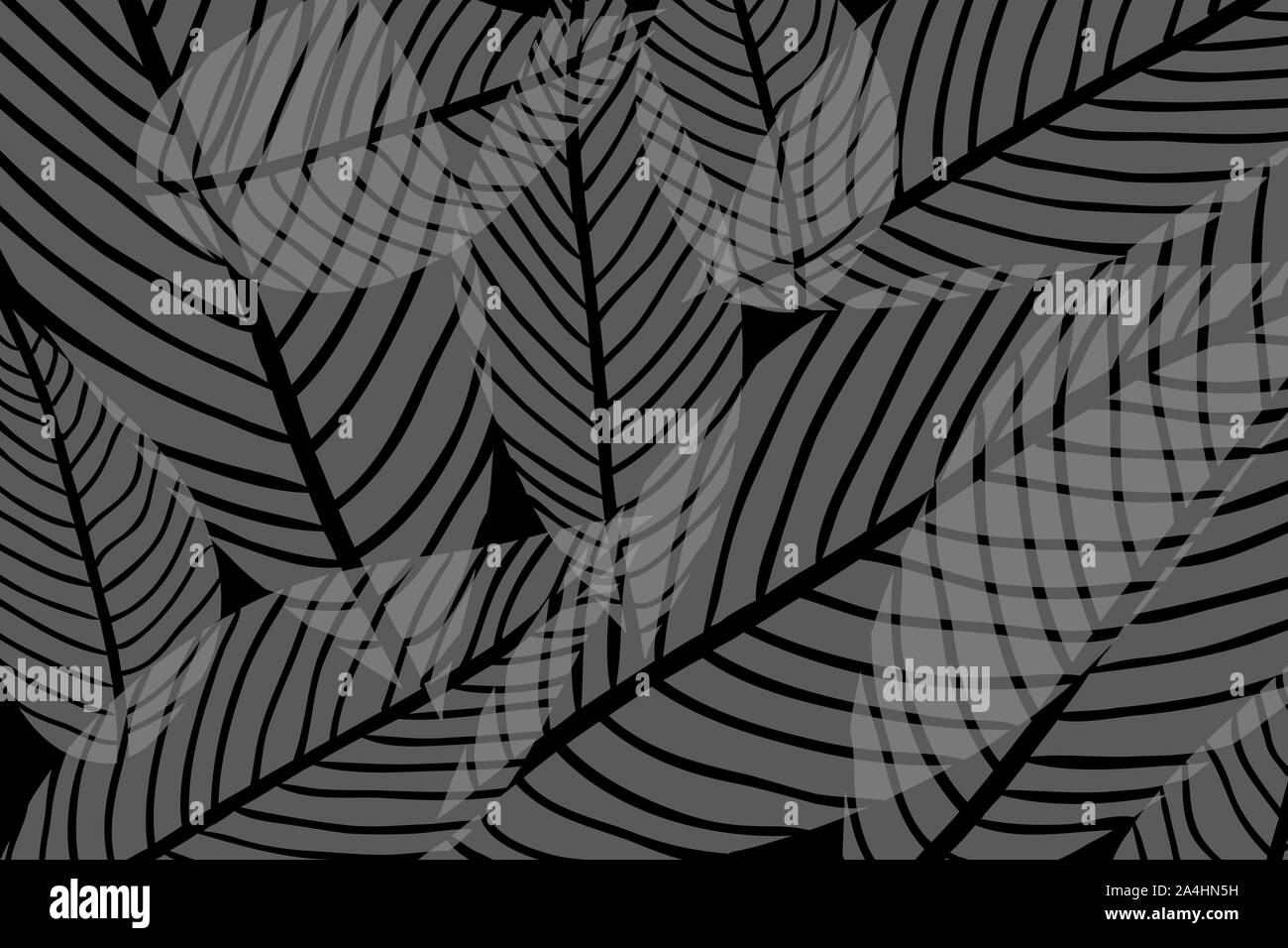 Vector composition of grey alpha transparent stylized leaves on a black ...