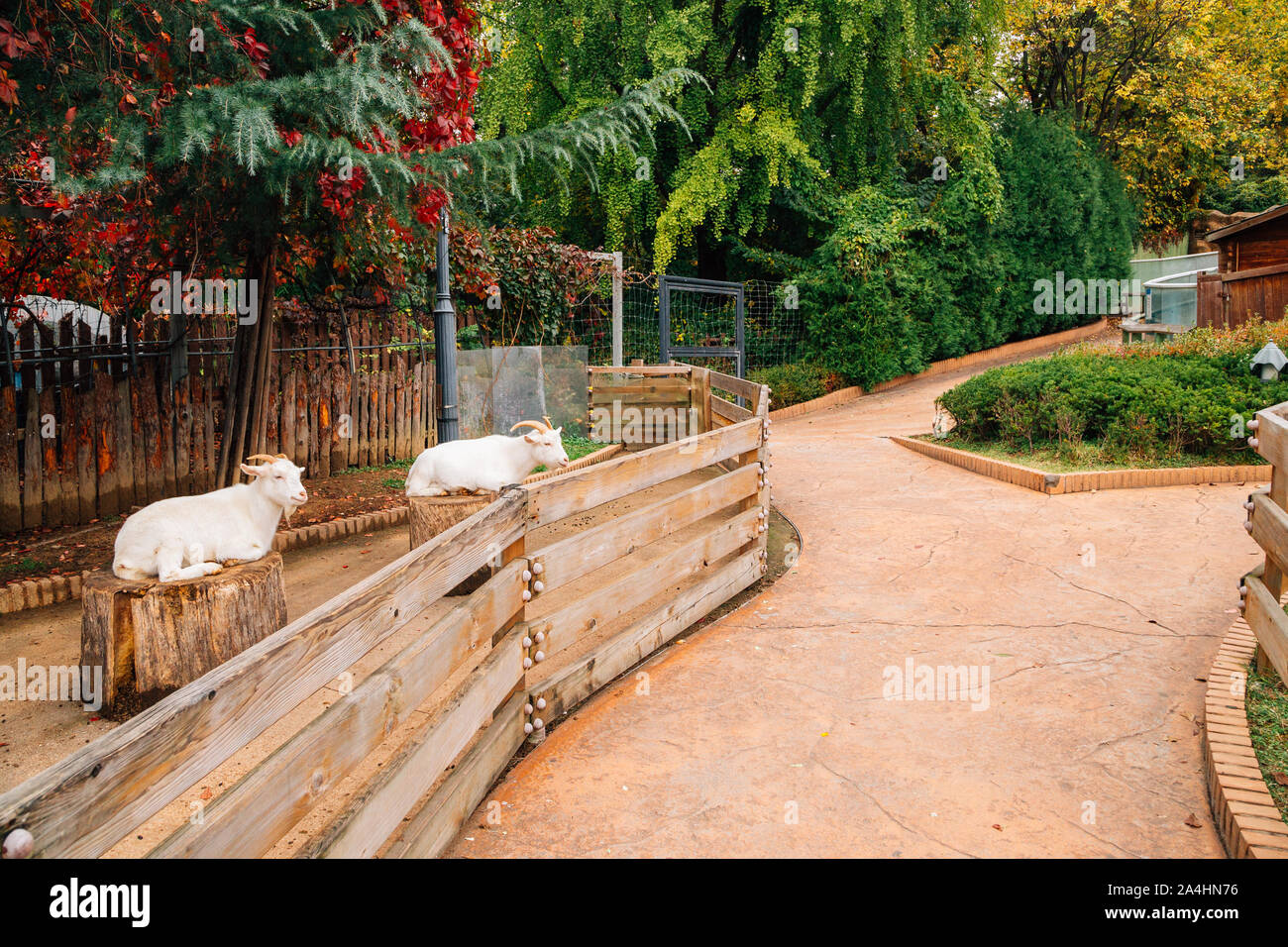 Seoul grand park zoo hi-res stock photography and images - Alamy