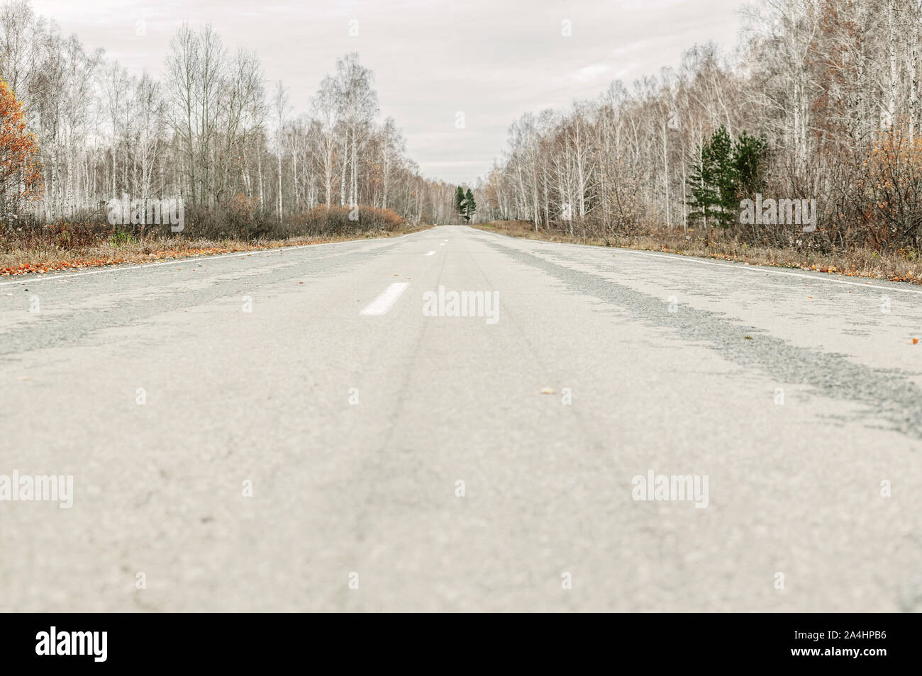 Empty old road with white road marking. Autumn environment. Close-up ...