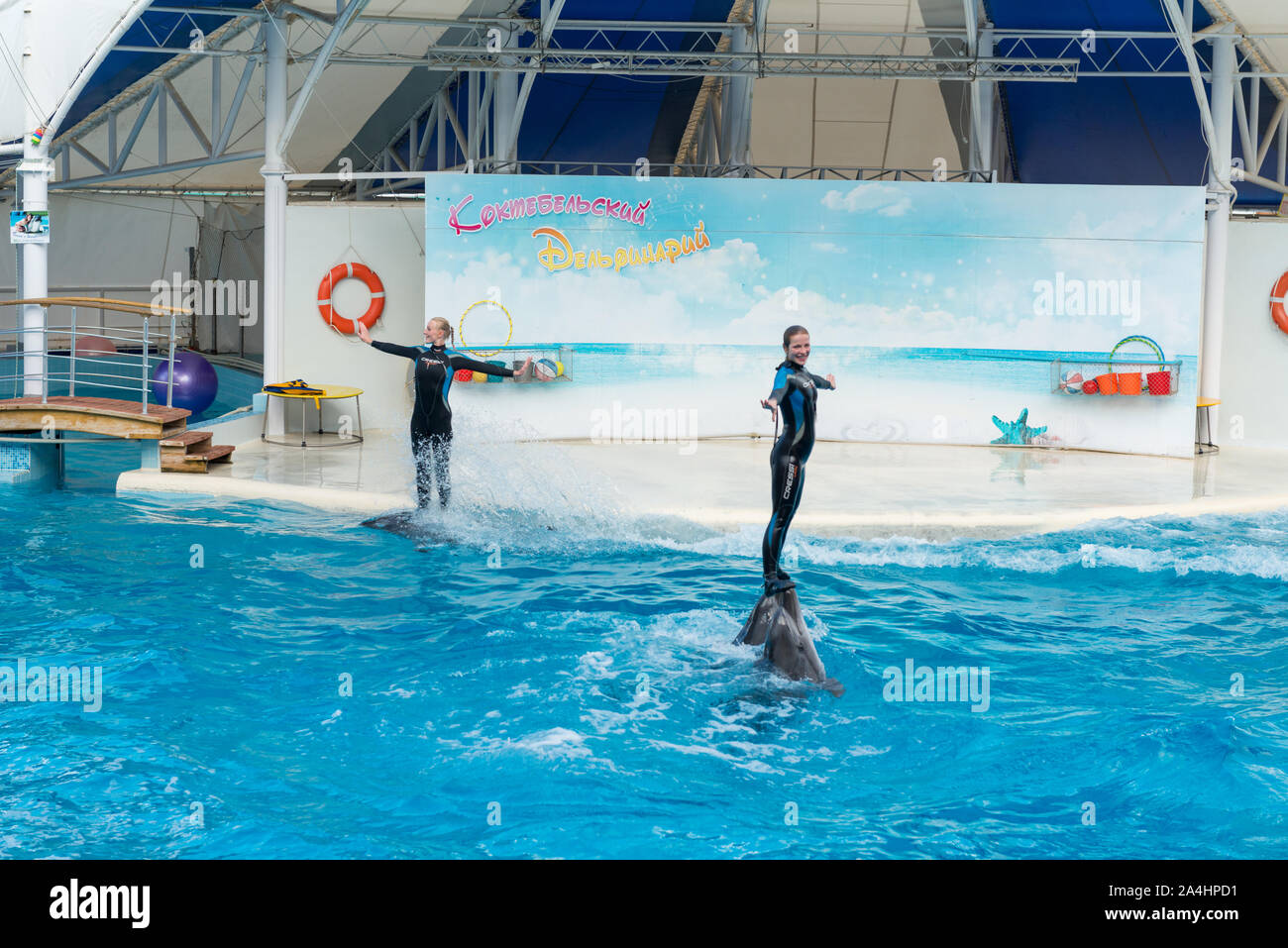 KOKTEBEL, RUSSIA - September 20, 2013 - Dolphin show scene. Playful ...