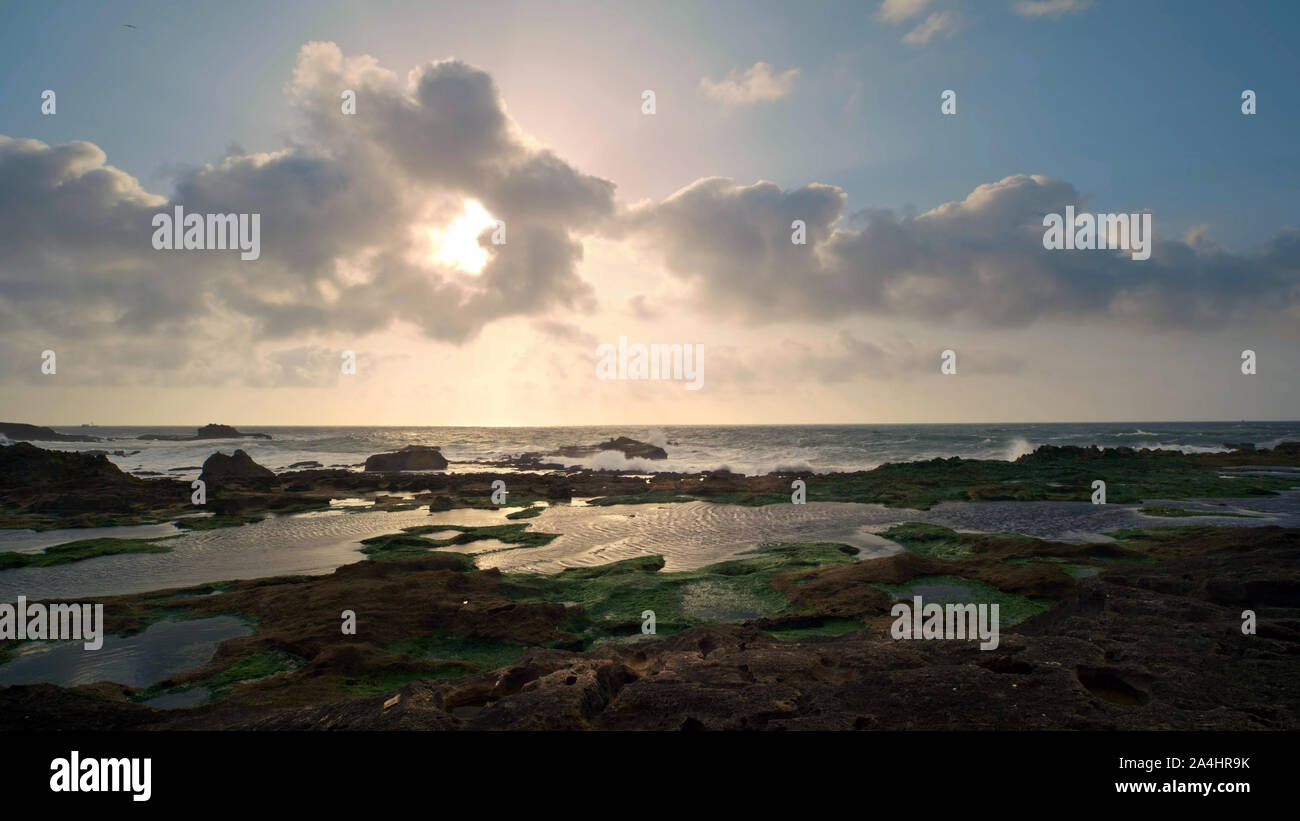 Chest shaped hi-res stock photography and images - Alamy