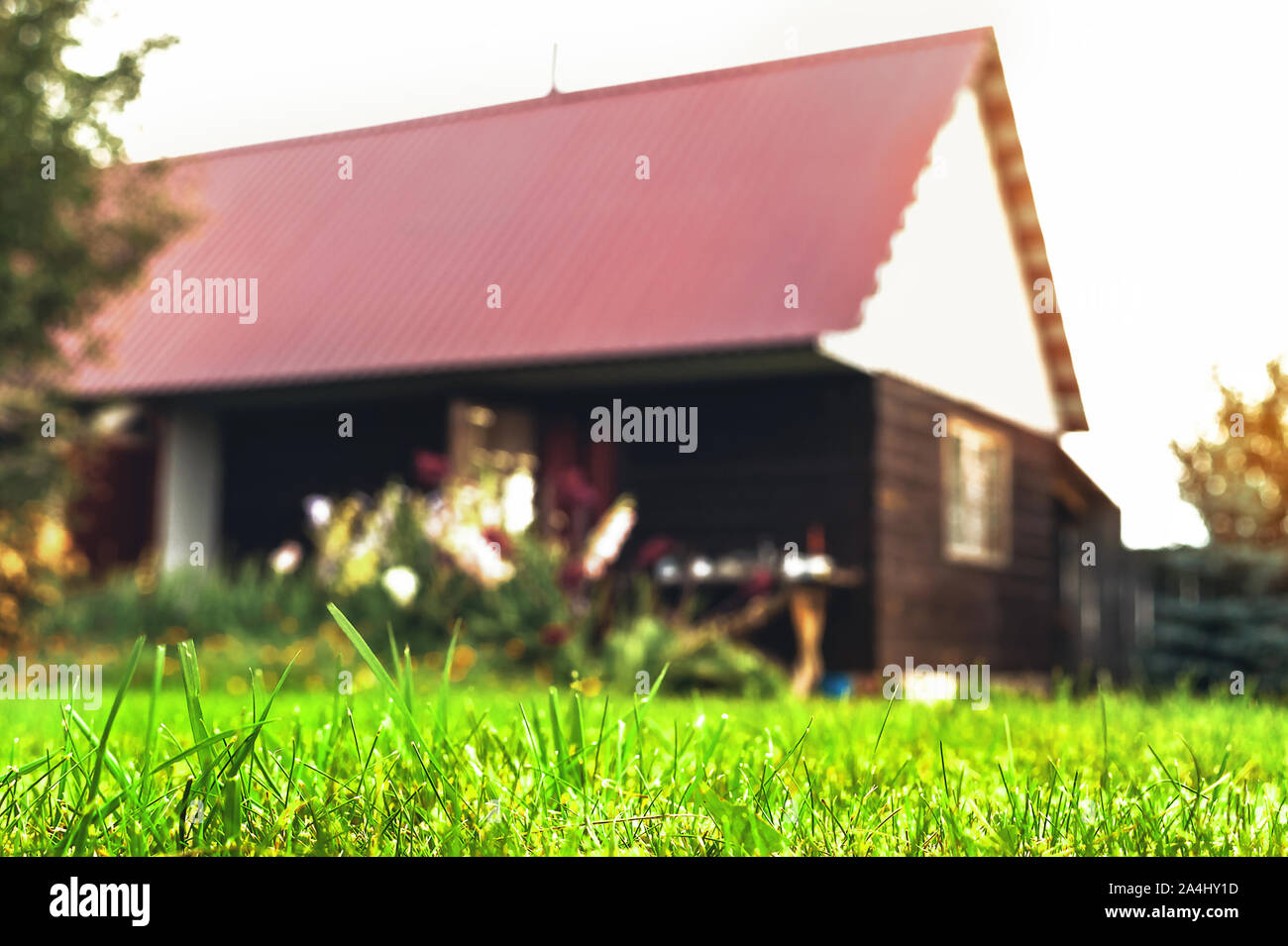 Backyard grass low angle hi-res stock photography and images - Alamy