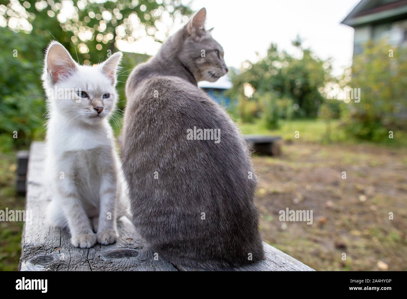 Stern mother hi-res stock photography and images - Alamy