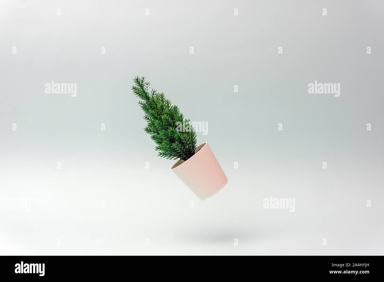 Minimalistic Christmas tree (spruce tree) on a blue background. New ...