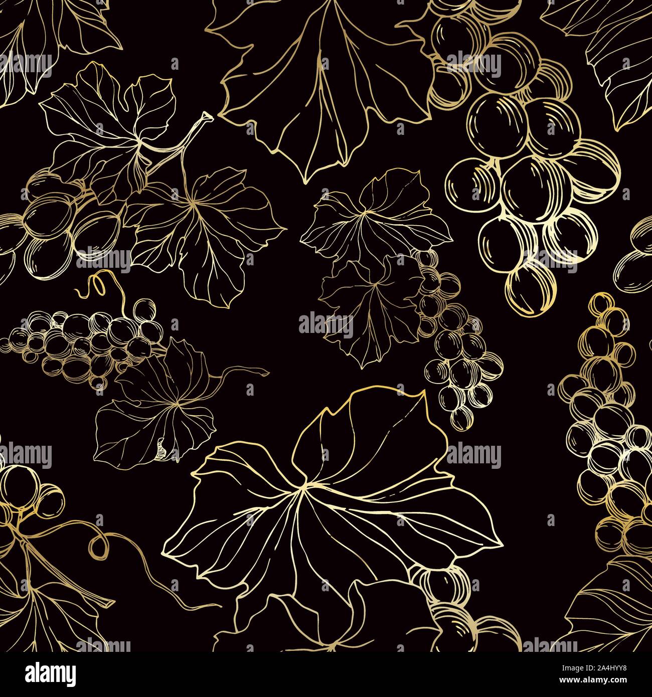 Vector Grape berry healthy food. Black and white engraved ink art ...