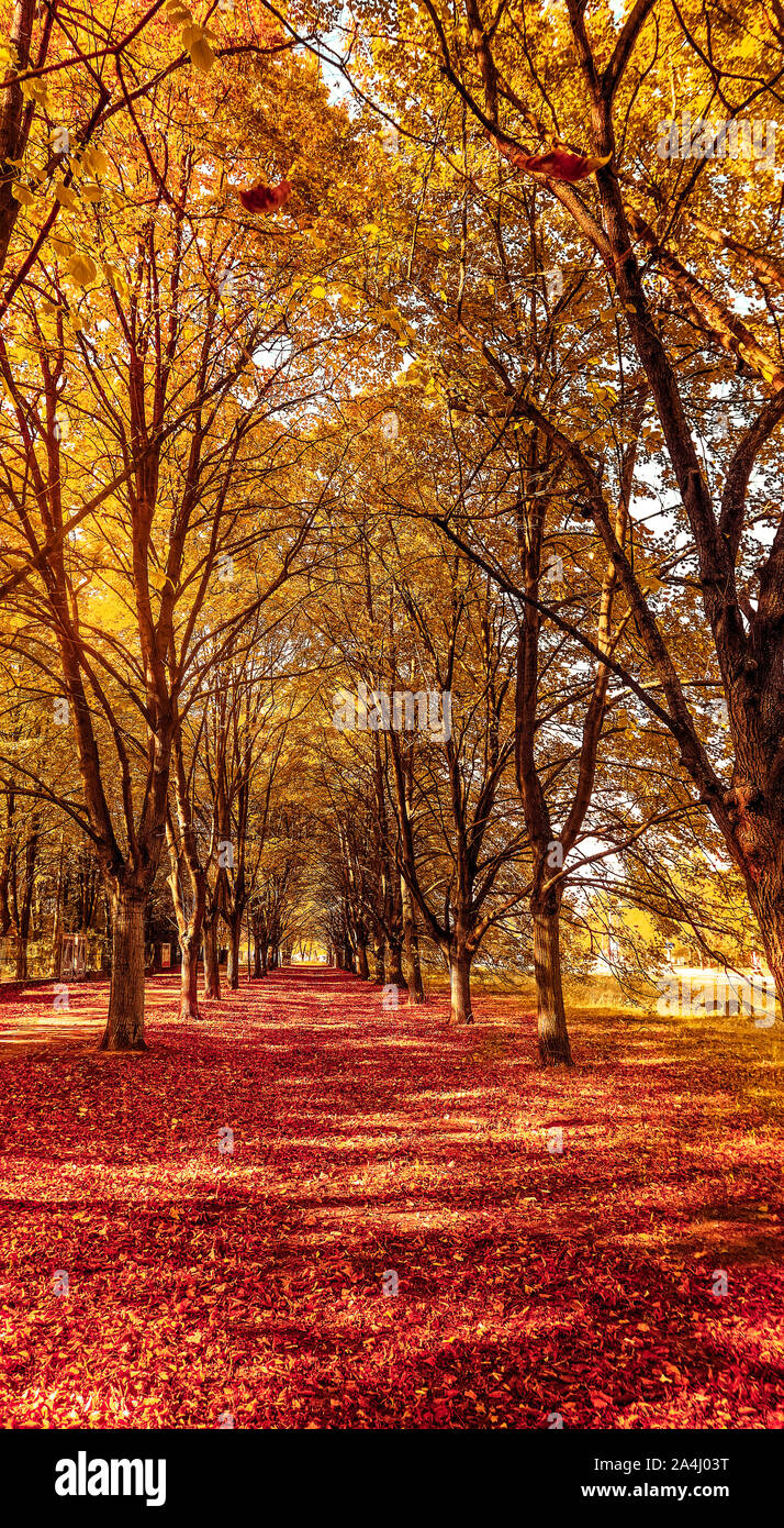 Seasonal travel, retro backdrop and rural environment concept ...