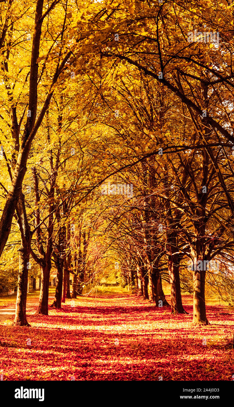 Seasonal travel, retro backdrop and rural environment concept ...