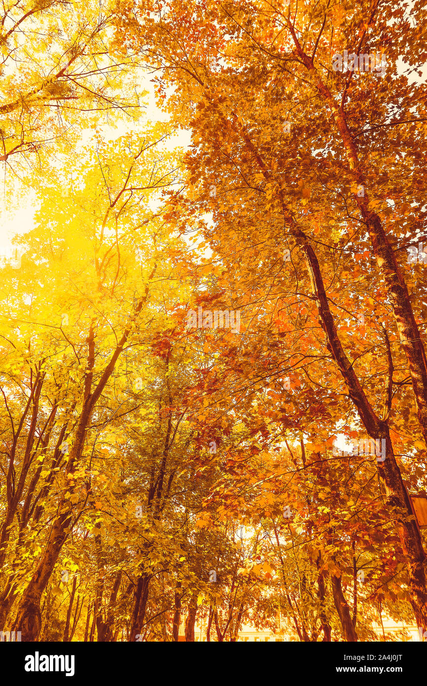 Seasonal travel, retro backdrop and rural environment concept ...