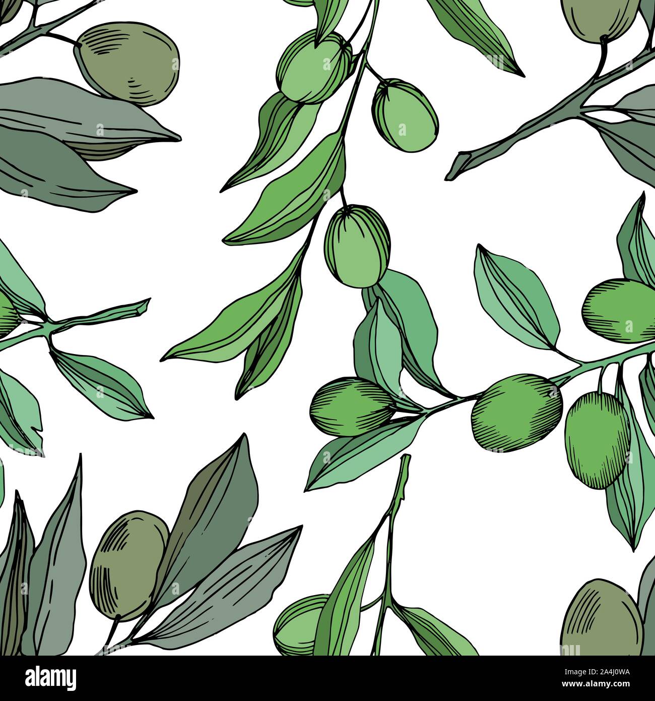 Vector Olive branch with fruit. Black and white engraved ink art. Seamless background pattern ...