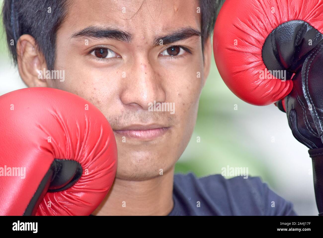 Serious Male Athlete Boxer Wearing Boxing Gloves Stock Photo - Alamy