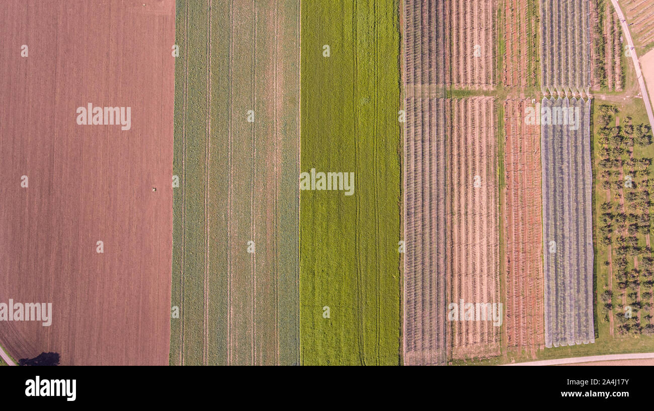 Overhead top down drone shot of a l plowed field. The farm field and ...