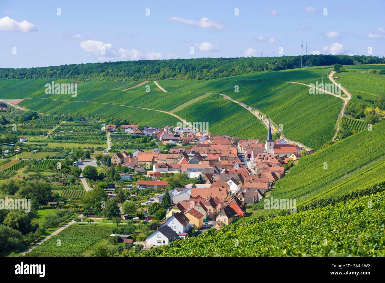 View of Escherndorf from Vogelsburg Castle on the Main River loop ...