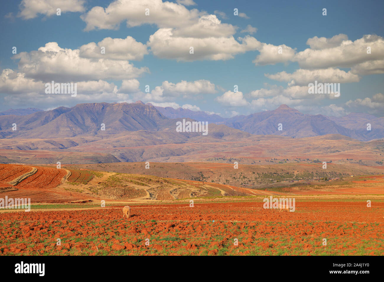 Lesotho lesotho travel tourism hi-res stock photography and images - Alamy