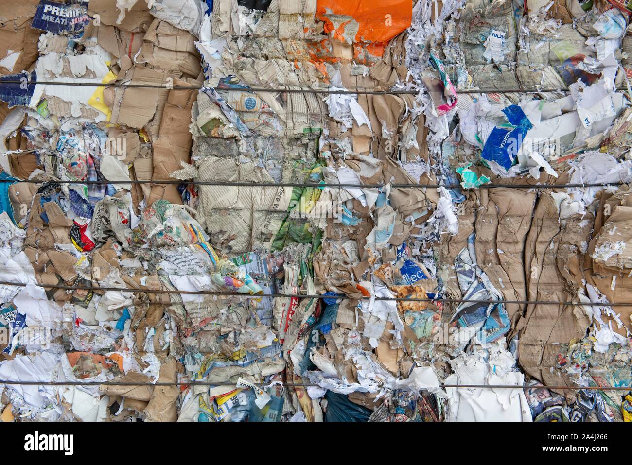 Pressed waste paper and cardboard, recycling, Germany Stock Photo - Alamy