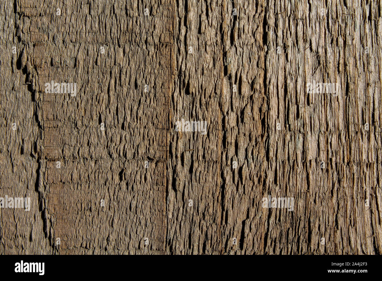 Wooden plank rough texture closeup with splinters. Natural background ...