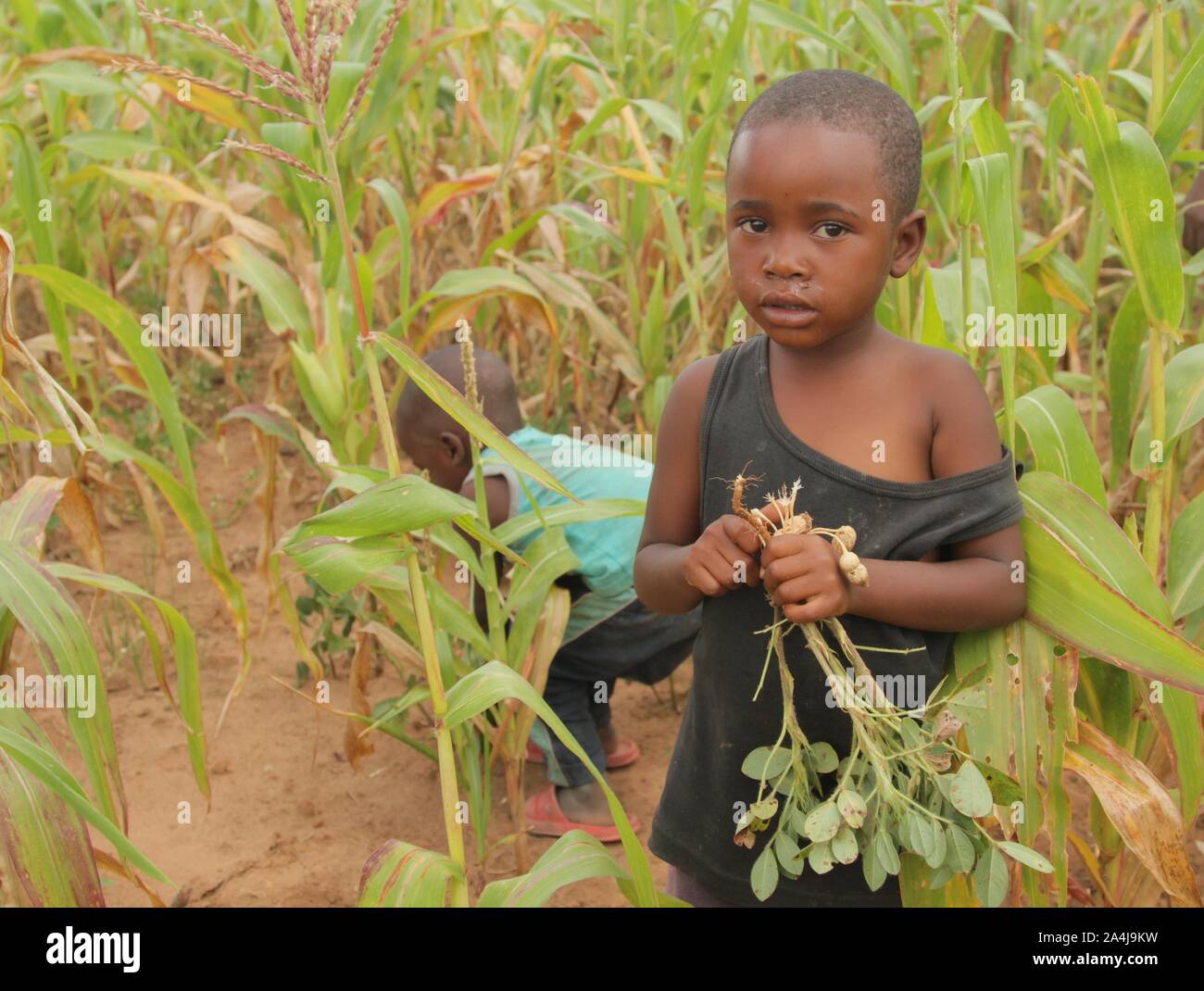 Macheke hi-res stock photography and images - Alamy