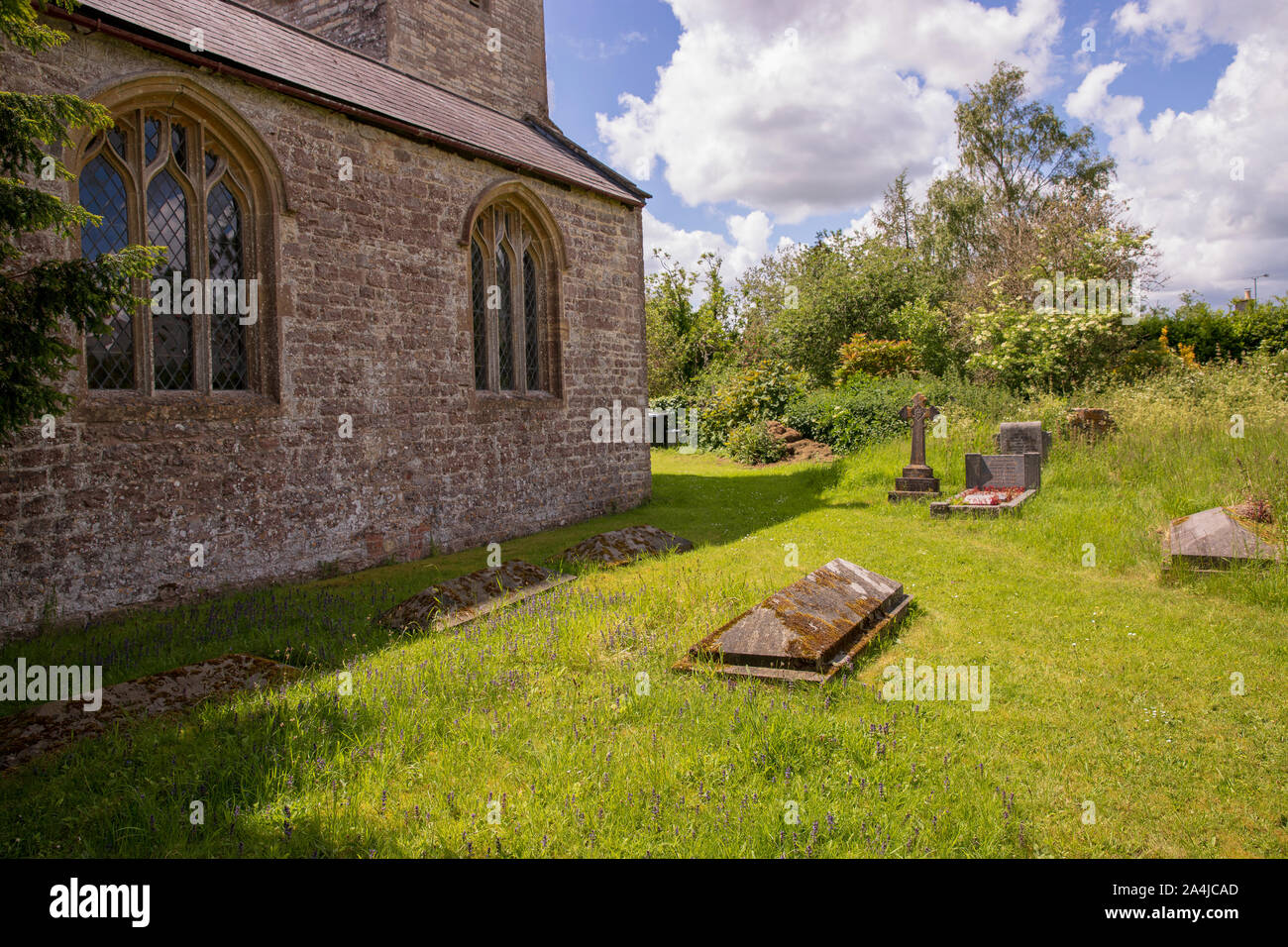The 13th century, Grade I listed, Church of St Mary in Litton, Somerset ...