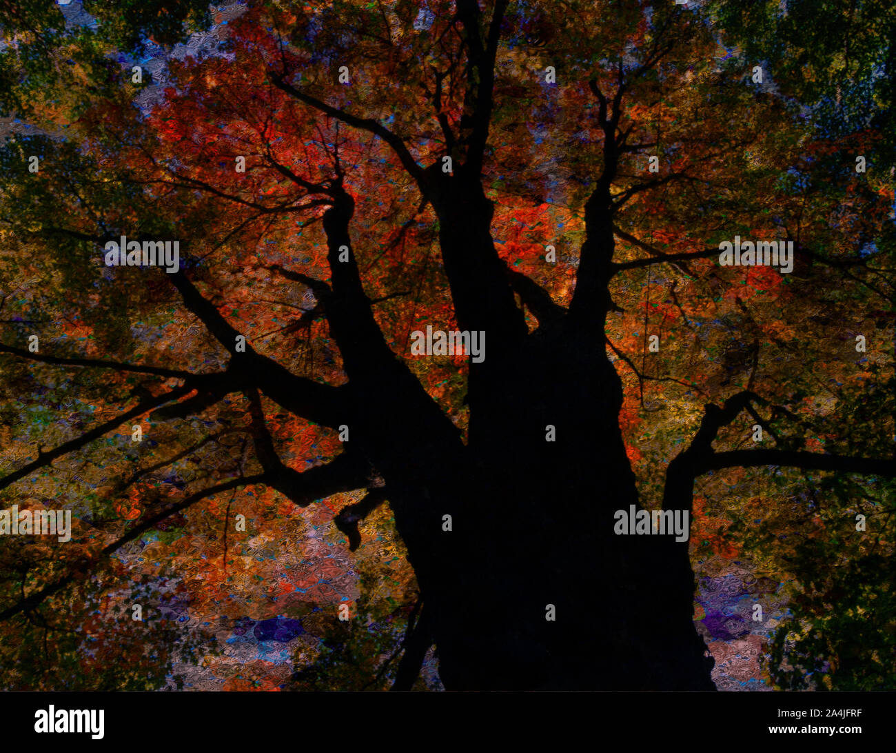 Dark tree. Digital abstract composition Stock Photo - Alamy