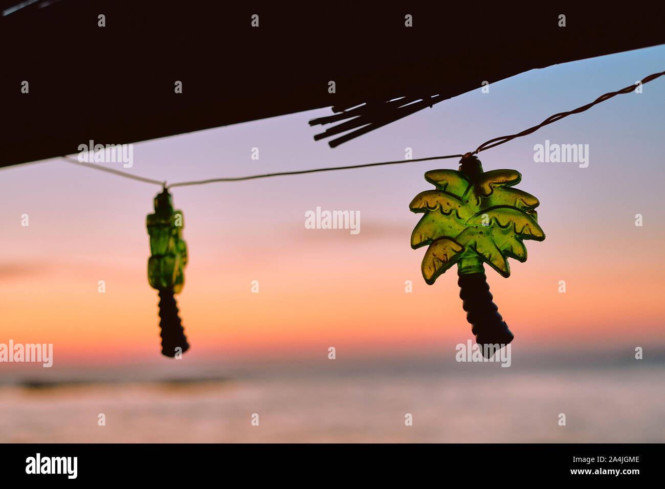 Palm tree shaped festive string lights decorating a rustic beach bar ...