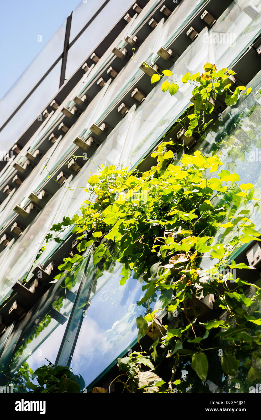 Modern window green facade in the city of London Stock Photo - Alamy