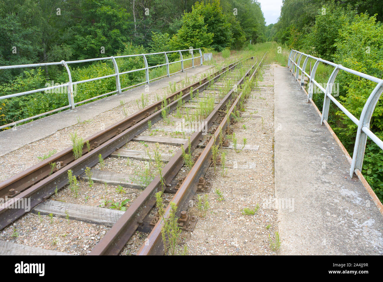 old overgrown railway tracks, abandoned railway Stock Photo - Alamy