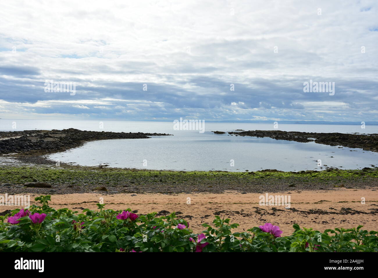 Beach, Anstruther , Fife Stock Photo - Alamy
