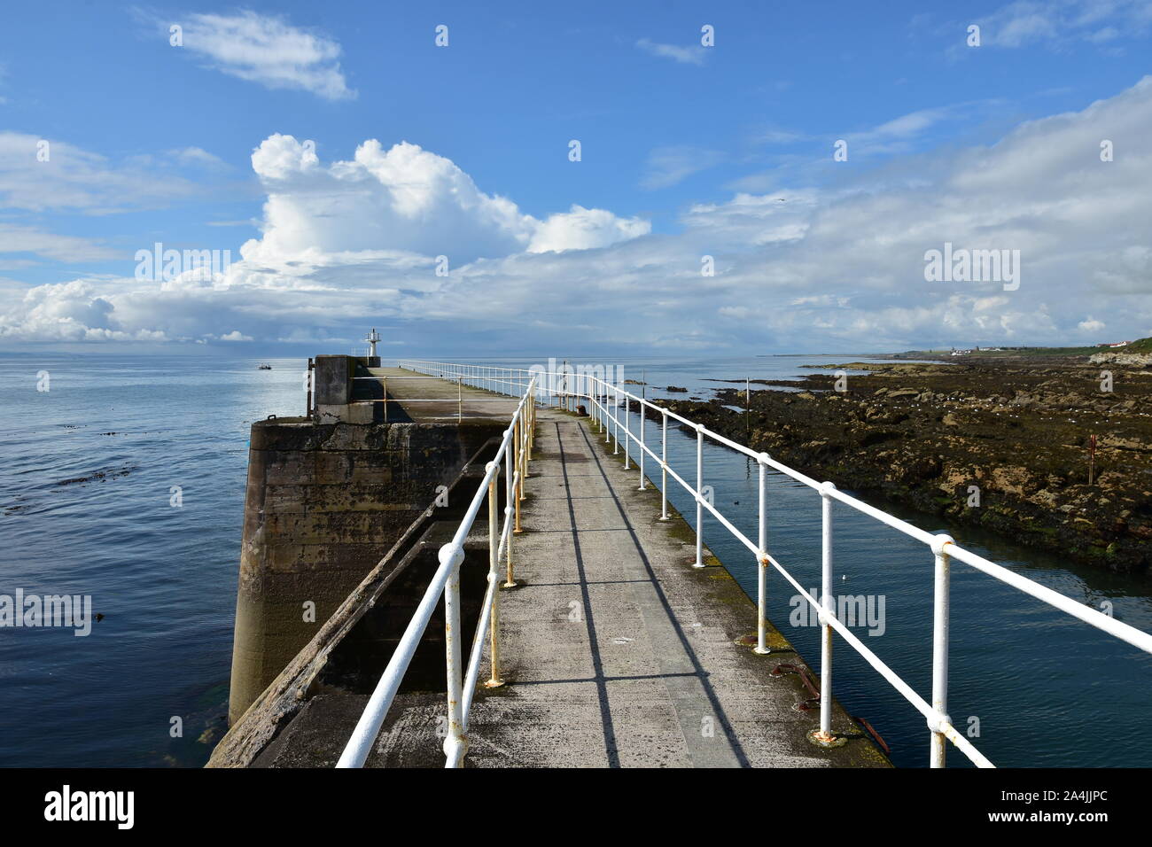 Pittenweem pier hi-res stock photography and images - Alamy