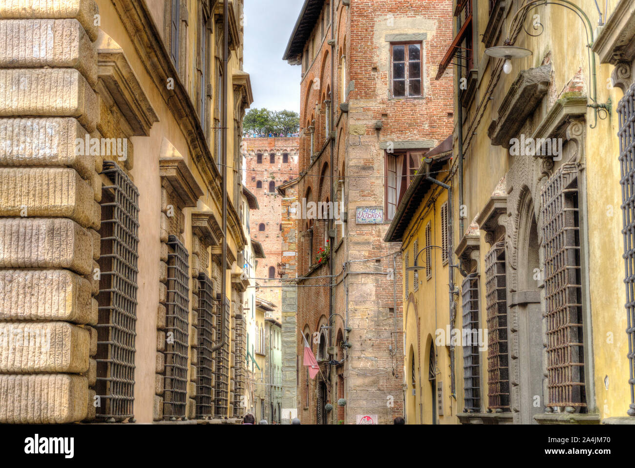Guinigi tower hi-res stock photography and images - Alamy