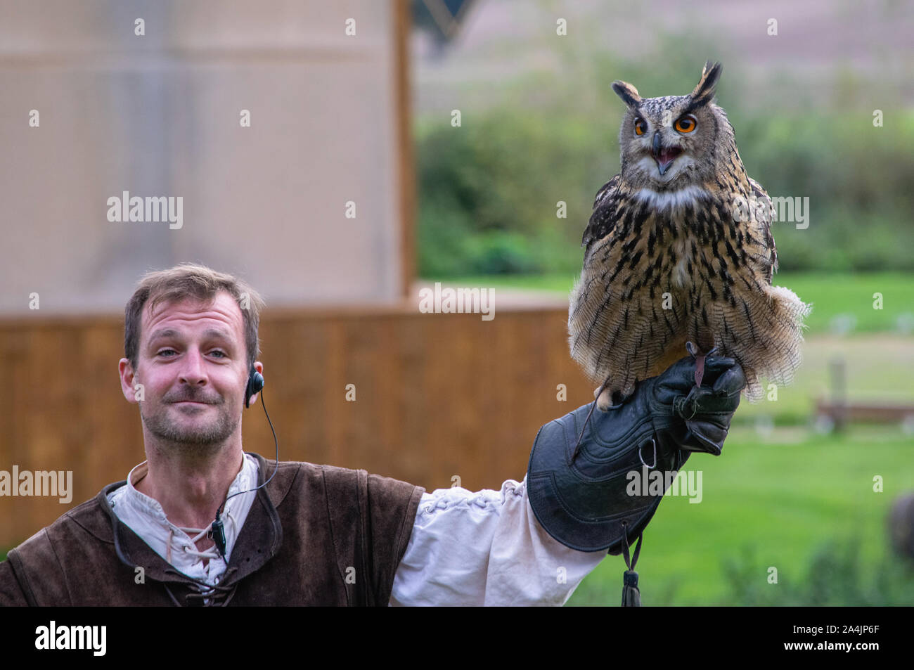 Warwick castle birds of prey hi-res stock photography and images - Alamy