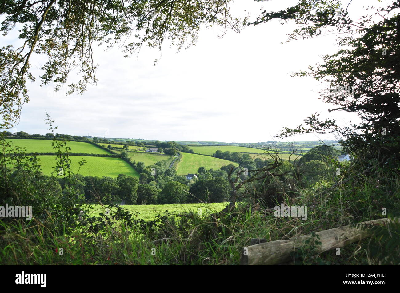 Typical english countryside hi-res stock photography and images - Alamy