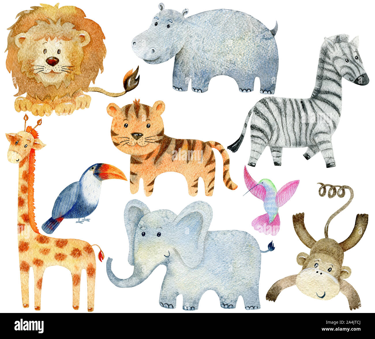 Jungle Animal Set High Resolution Stock Photography and Images - Alamy