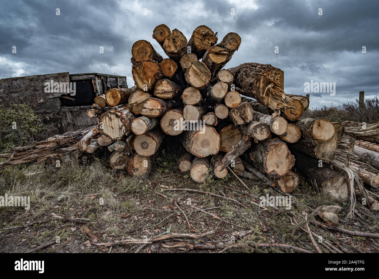 On a cloudy autumn day along the road in the mud there are many rough ...