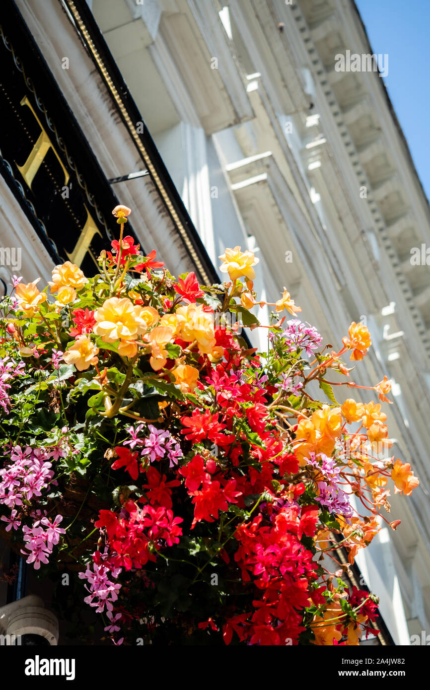 The flowered facade of the beautiful buildings of London Stock Photo ...
