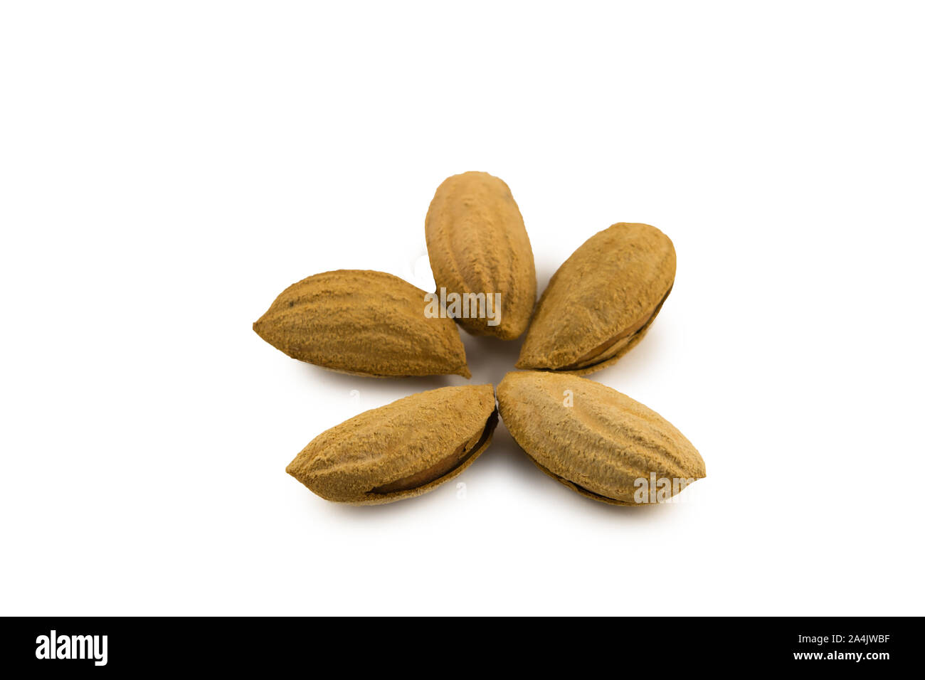 Inshell hi-res stock photography and images - Alamy