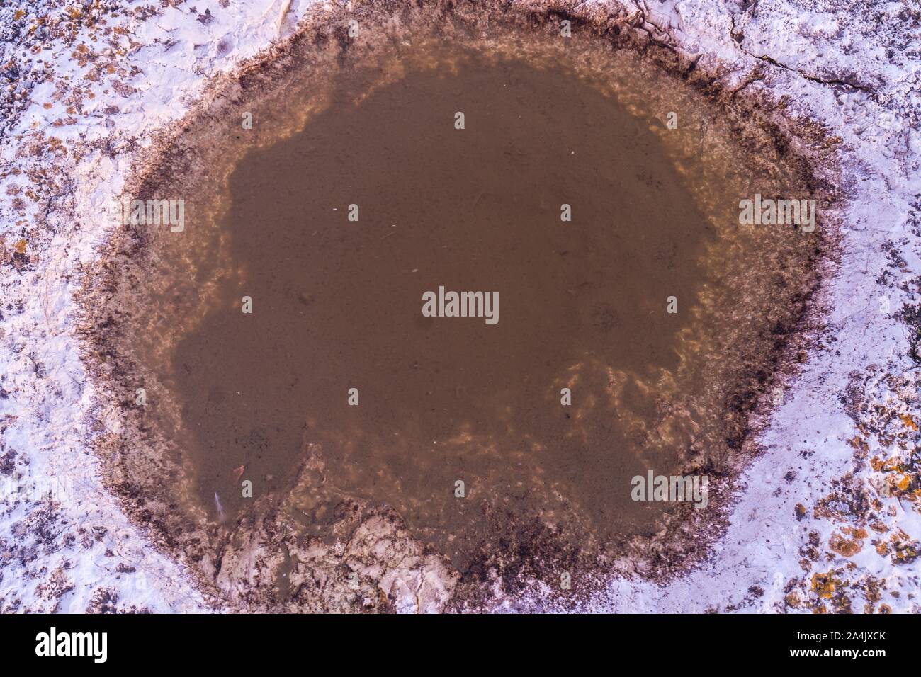 Puddle on concrete hi-res stock photography and images - Alamy