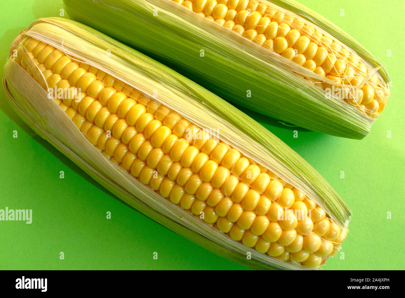 Fresh corn isolated on green background. Corn cobs Stock Photo - Alamy