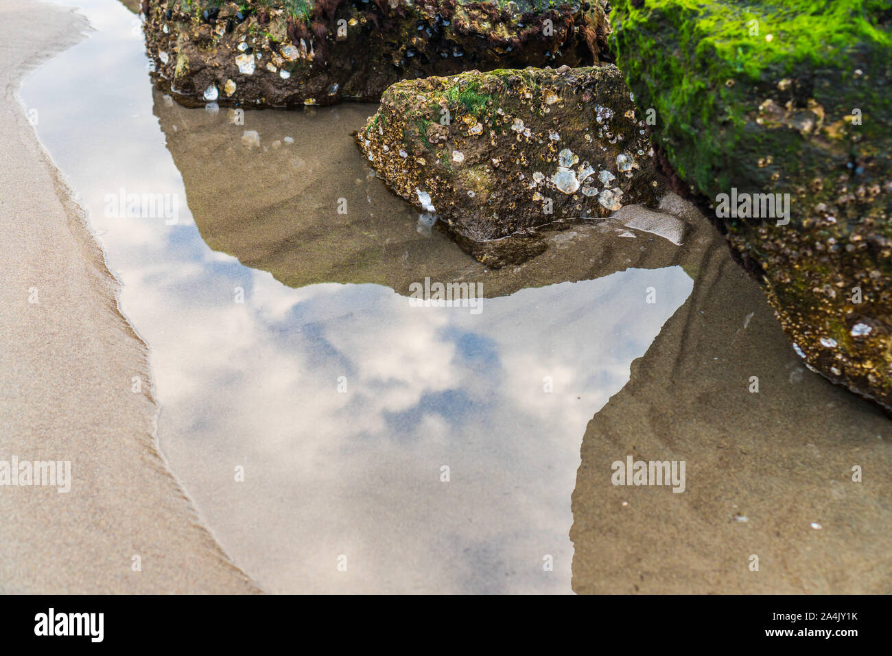 Puddle beach rain hi-res stock photography and images - Alamy