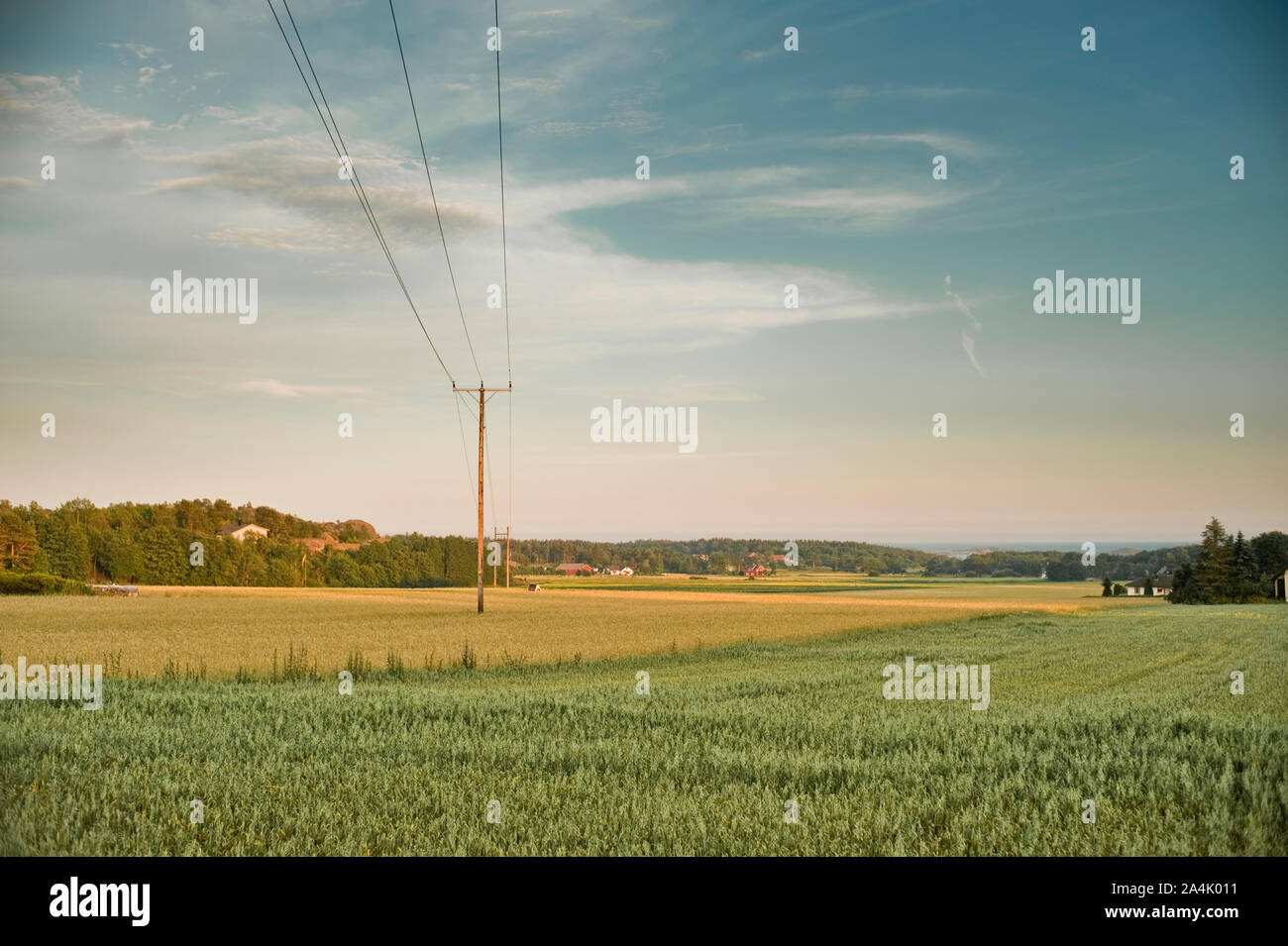 Telephone poles green field sky cable hi-res stock photography and ...