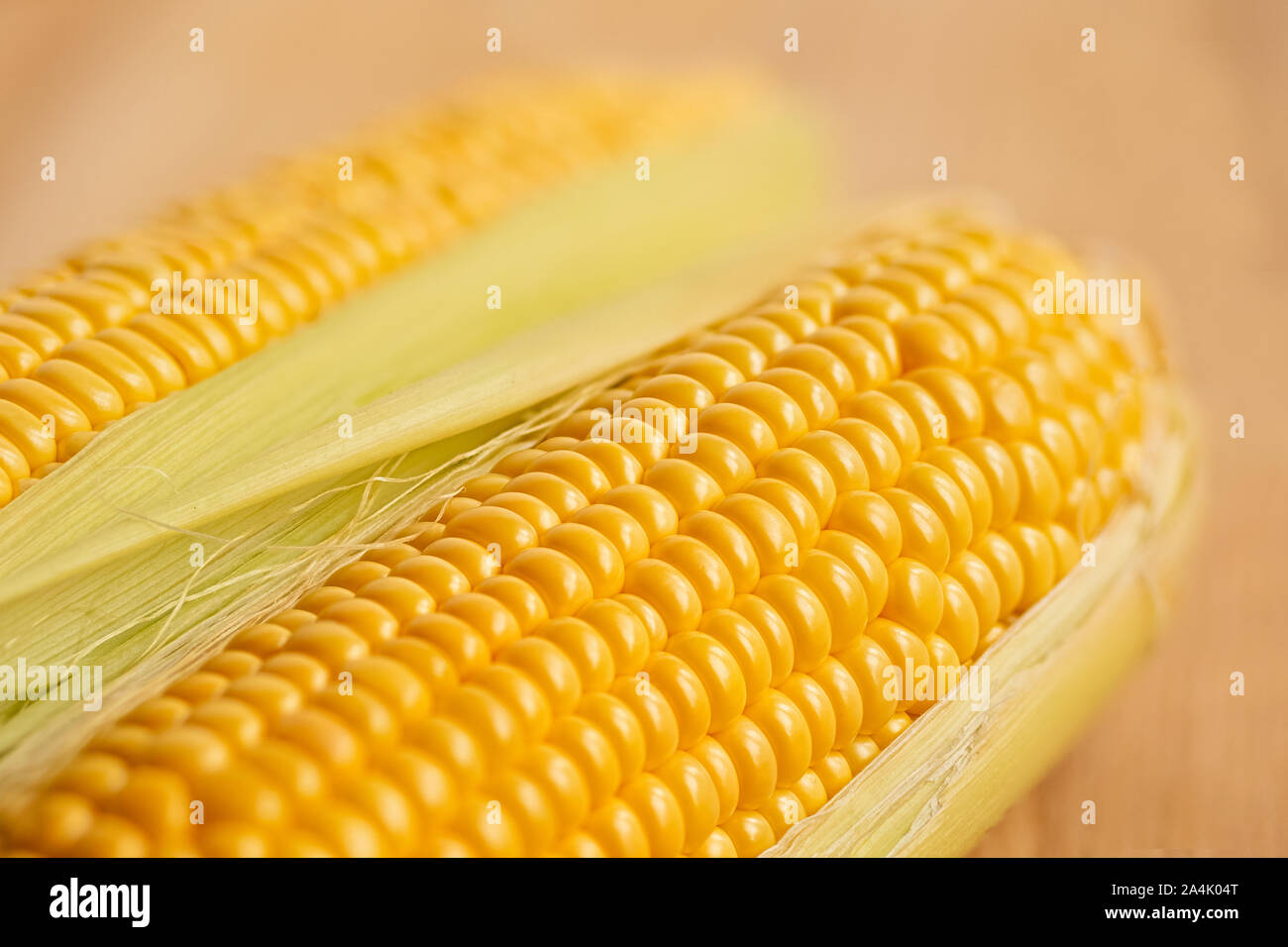 Detail of two corn cobs with husks on light wood Stock Photo - Alamy