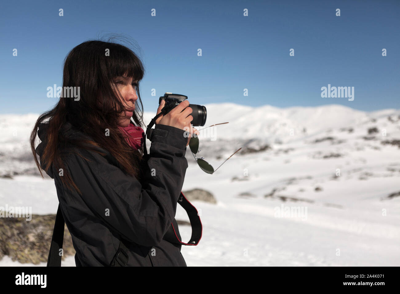 Tourist Taking Photo From Digital Camera Stock Photo - Alamy