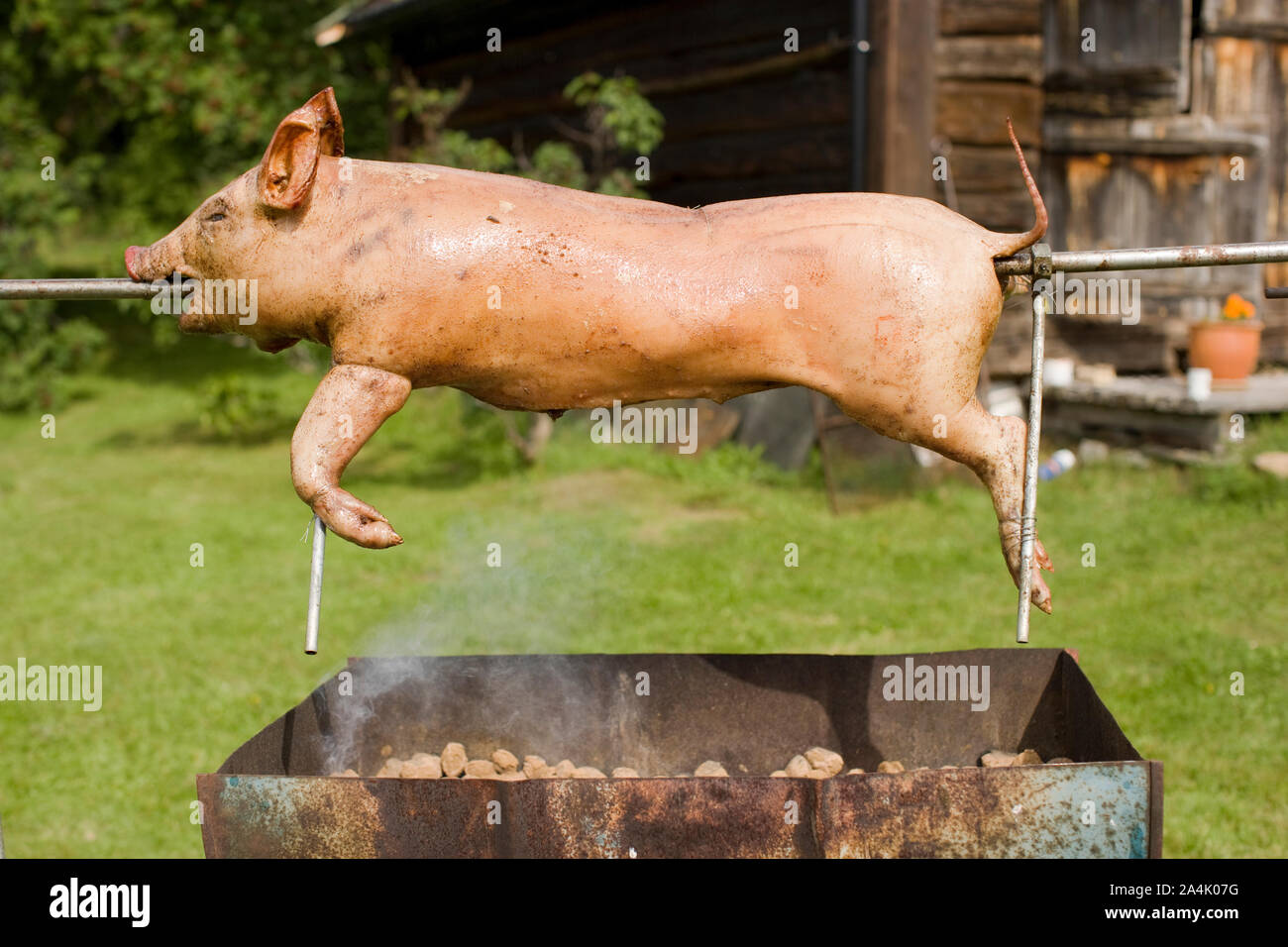 Barbecuing a pig hi-res stock photography and images - Alamy