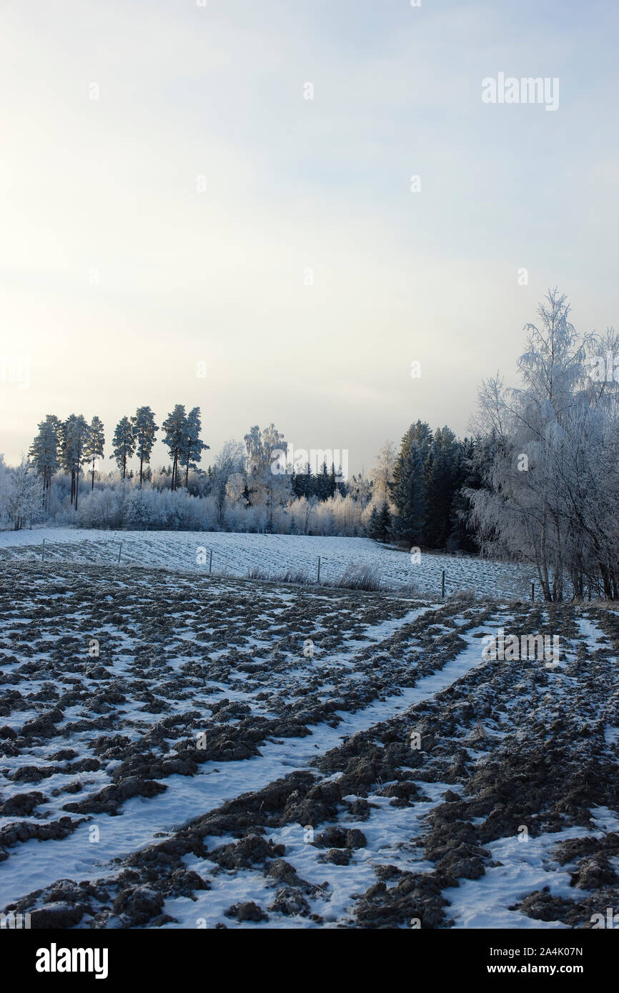 Fields field scenery hi-res stock photography and images - Alamy