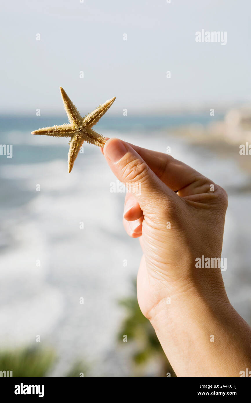 Person holding starfish. Maritime. Naval Stock Photo - Alamy