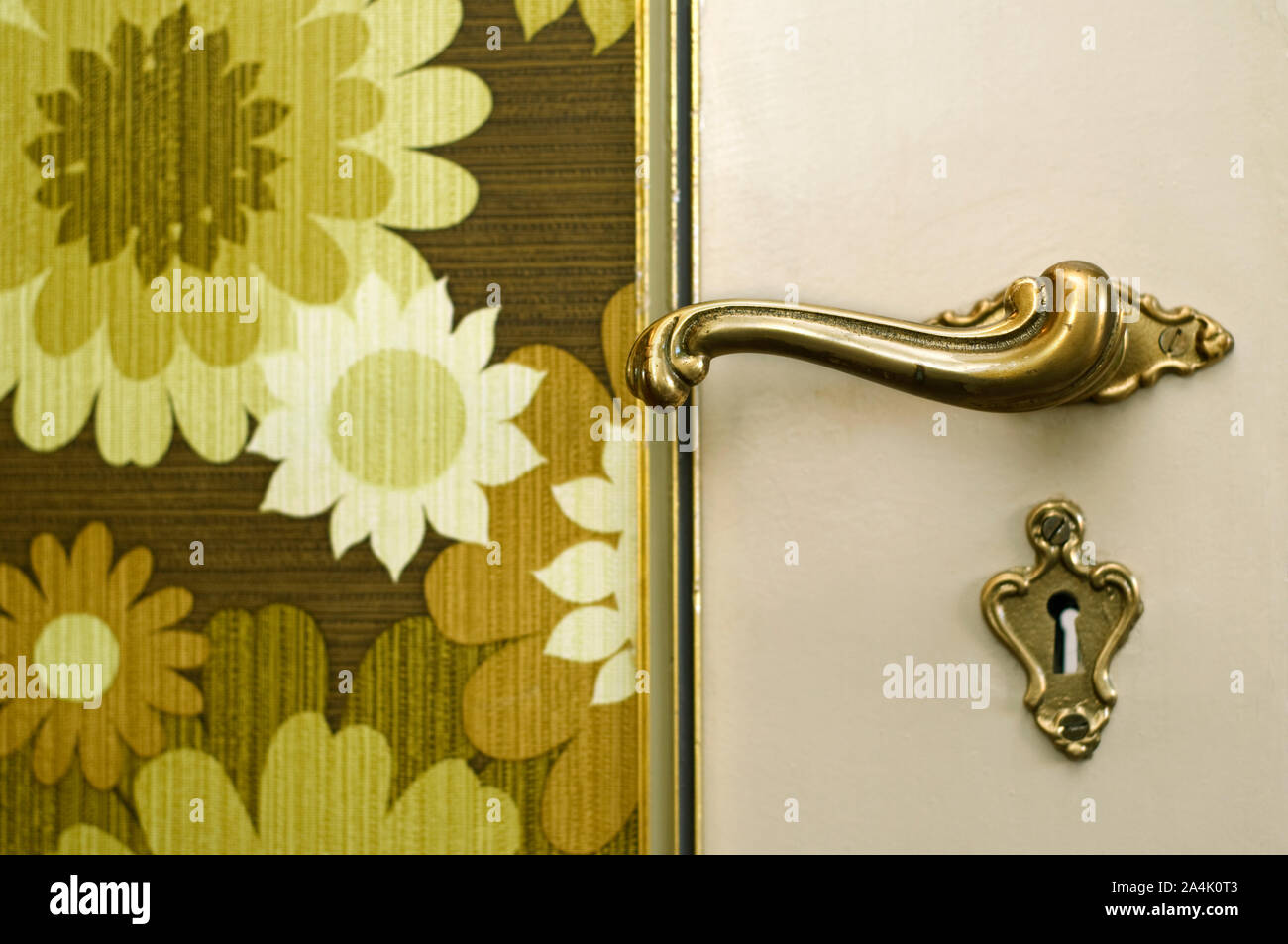 Detail of door knob Stock Photo - Alamy