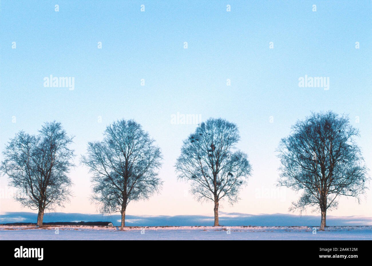 Horizons 4 hi-res stock photography and images - Alamy