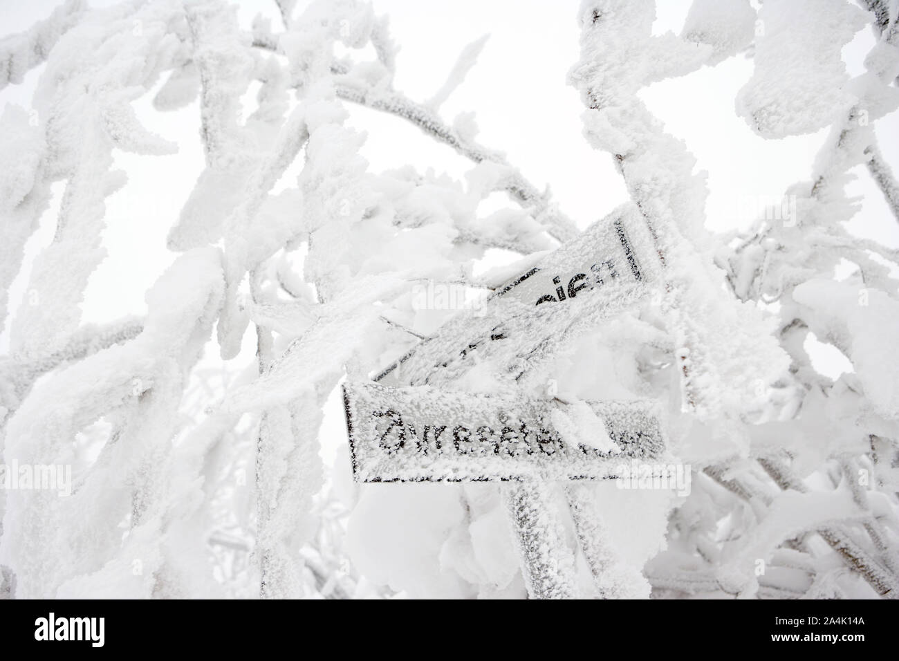 Road sign covered in snow Stock Photo - Alamy