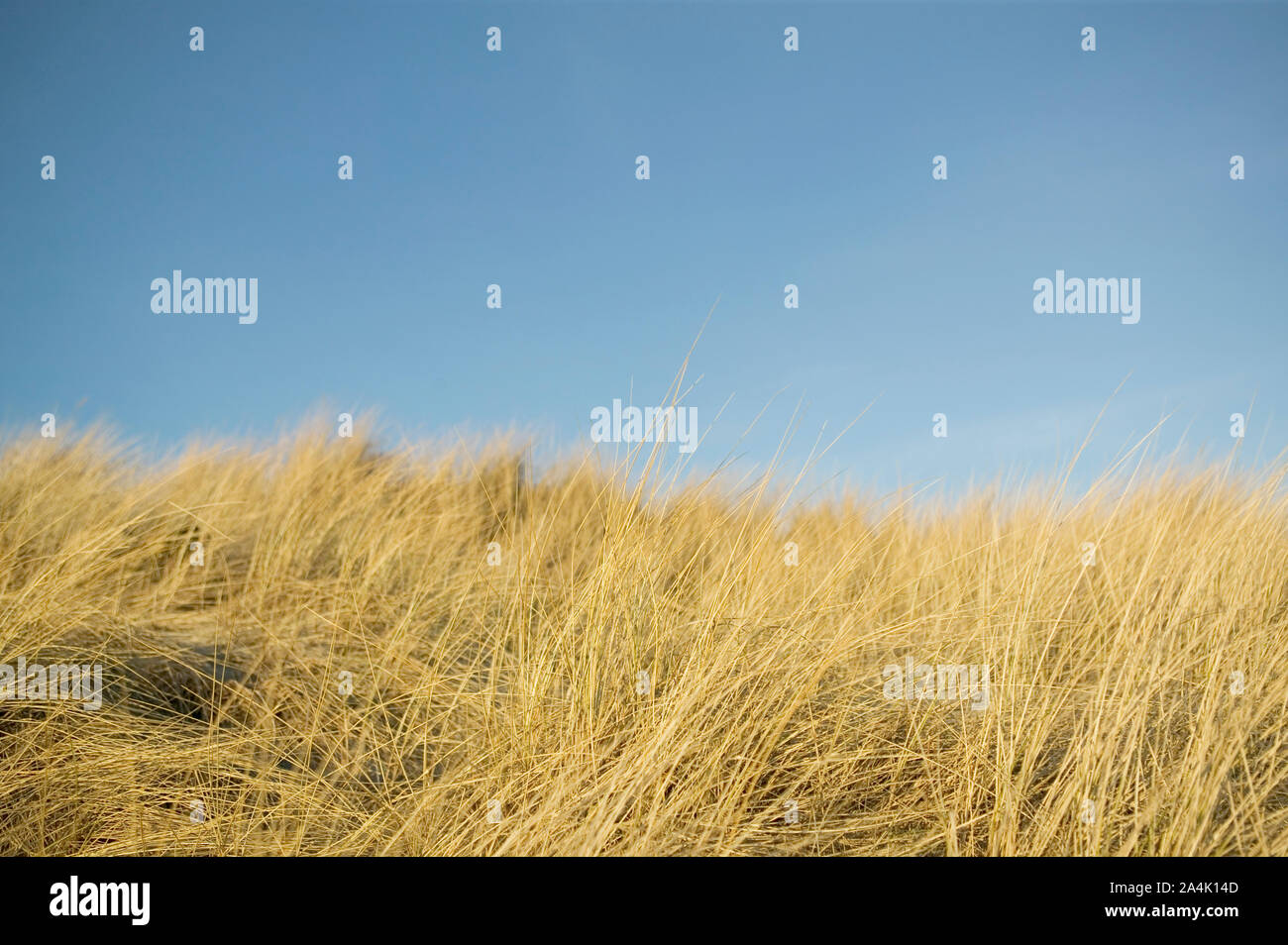 Solastranda hi-res stock photography and images - Alamy