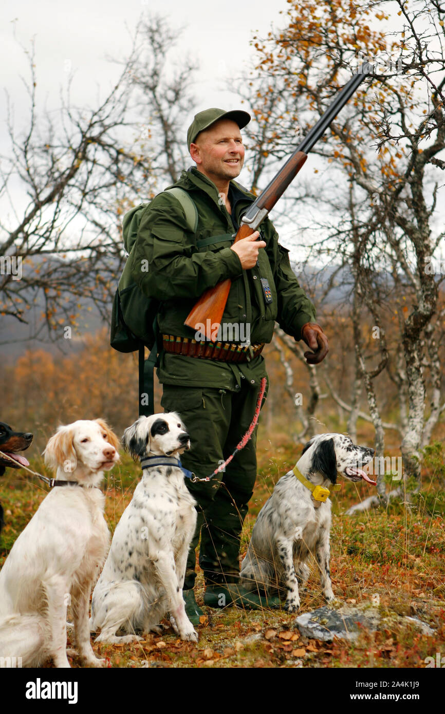 Gun Dogs English Setter