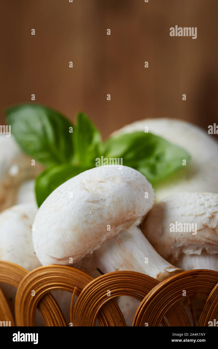 Raw organic champignon mushrooms (Agaricus bisporus). Copy space Stock ...