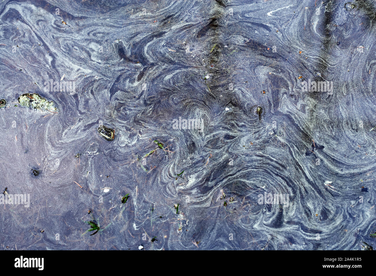 Pollen - flower dust Stock Photo - Alamy